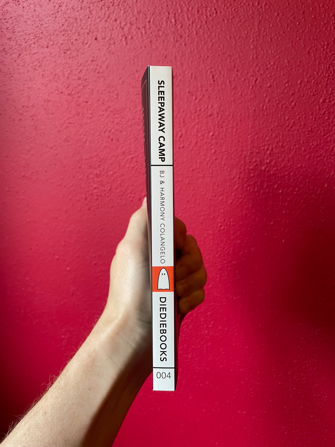 Sleepaway Camp by BJ and Harmony Colangelo – DieDieBooks